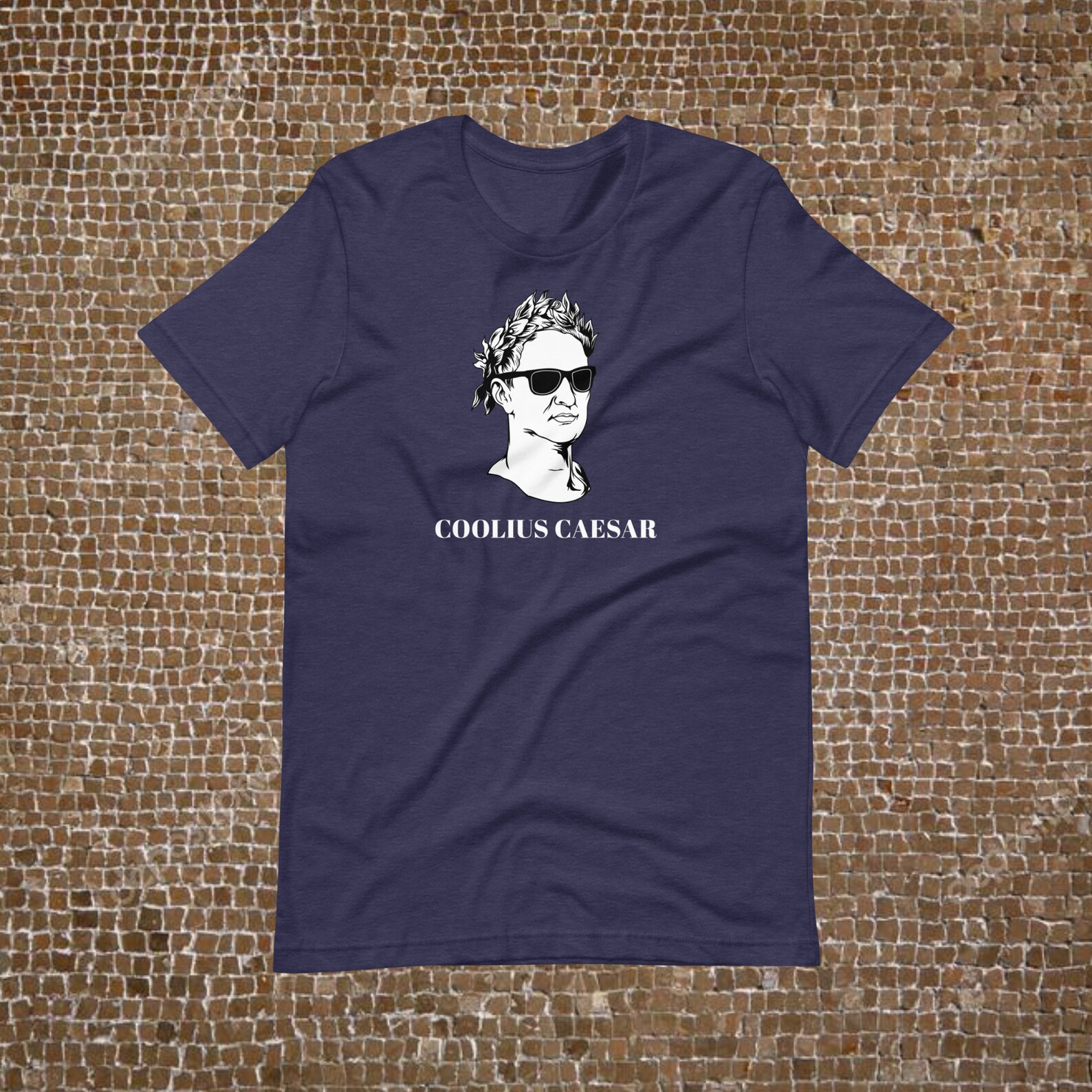 Cool Julius Caesar T-shirt | History Tshirt | Ancient Roman Tshirt ...