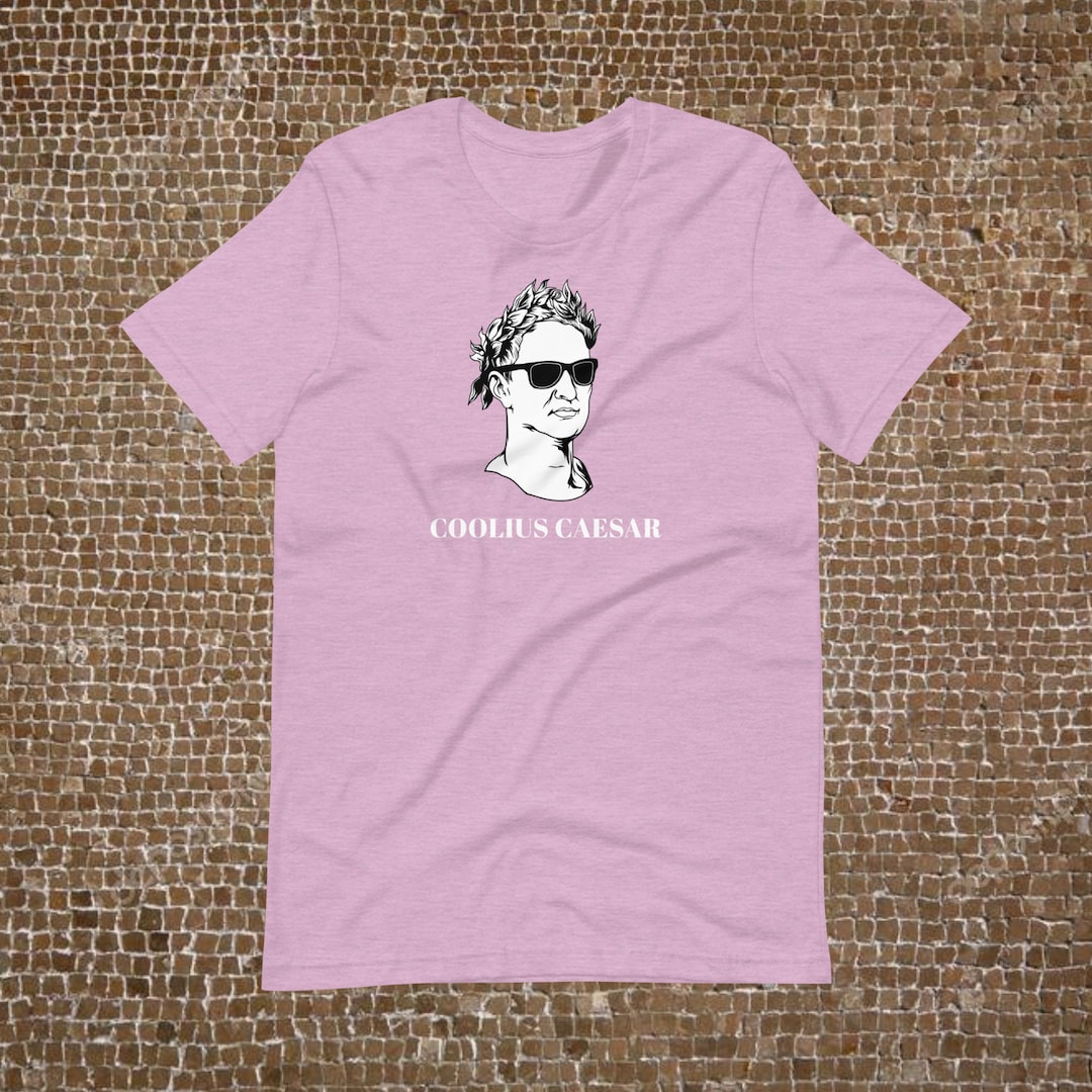 Cool Julius Caesar T-shirt | History Tshirt | Ancient Roman Tshirt ...