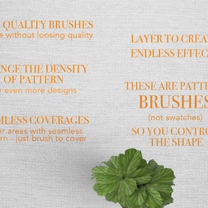 Procreate: Damask Seamless Pattern Brushes - Etsy