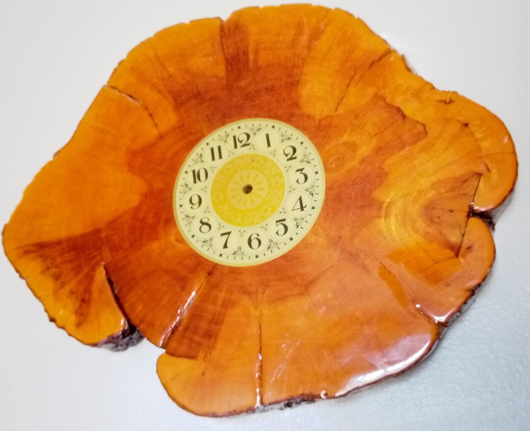 Large Vintage Rustic Cypress Tree Trunk Slice Lacquered Wood Wall ...