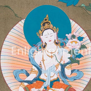 Amitayus Buddha Thangka With White Tara and Namgyalma Amitayus Wall ...