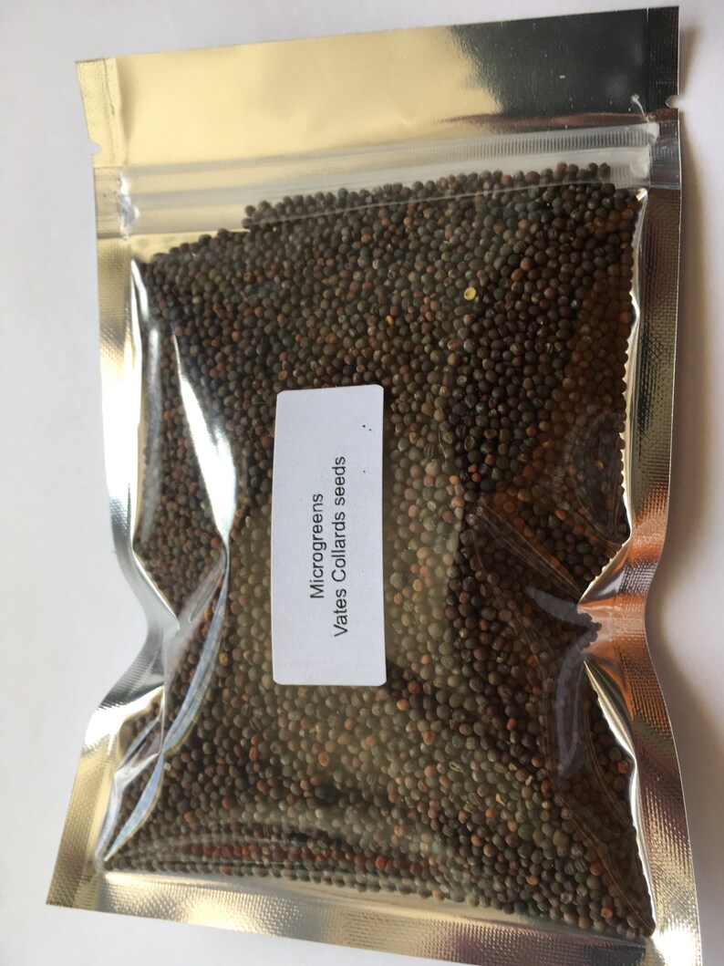 12 Ounces Vates Collard Greens Seeds Organic Non Gmo Harvest - Etsy
