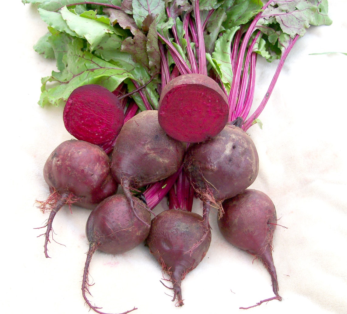 2400 Detroit Dark Red Beet Seeds Salad Sprouts Ships From - Etsy