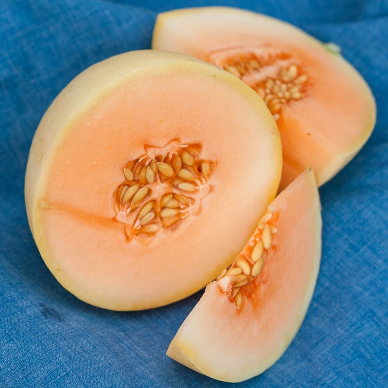 200 Organic Orange Flesh Honeydew Melon Seeds USA Seller Non - Etsy