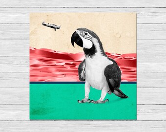 Colorful Parrot Bird Sticker Drink Margarita Cup Cooler Laptop - Etsy