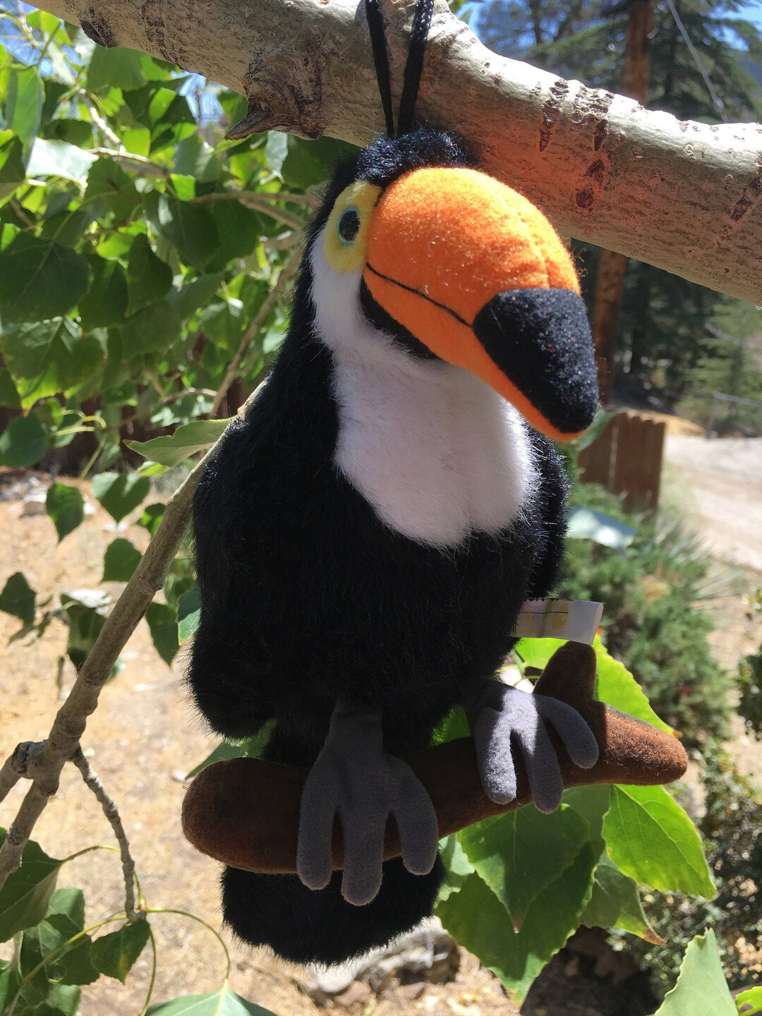 Hanging Toucan Plush Toy - Etsy