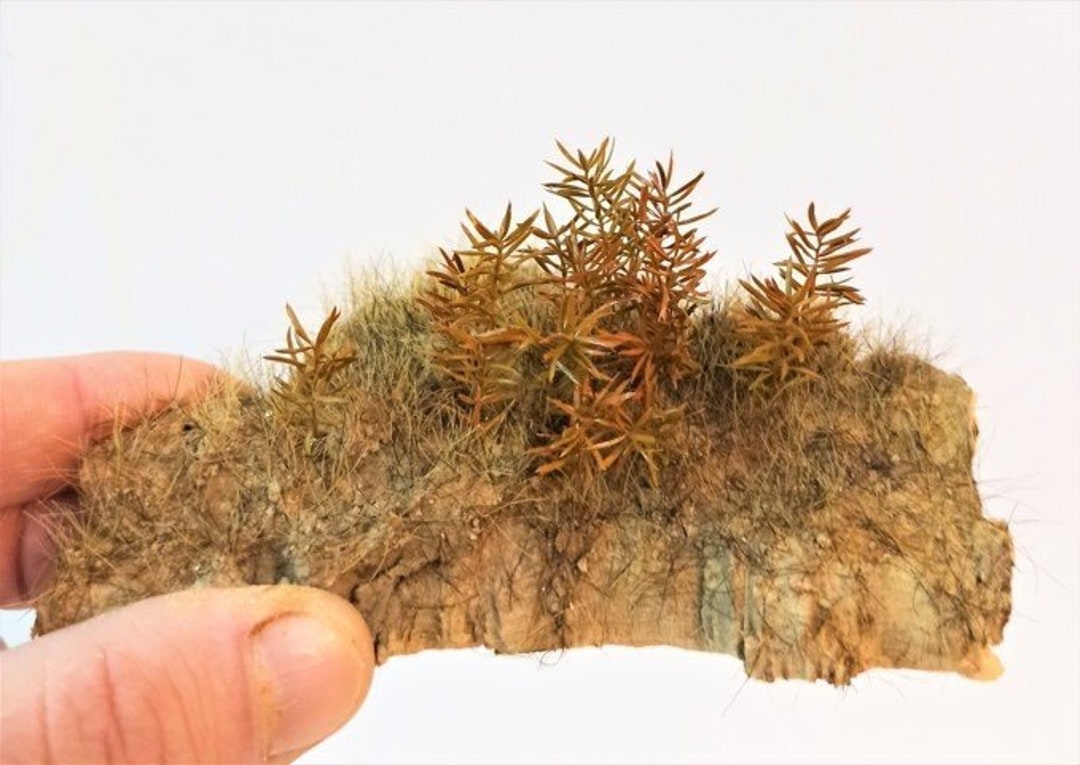 Angela Bush Bush With Leaflets Stabilized Red Autumn - Etsy