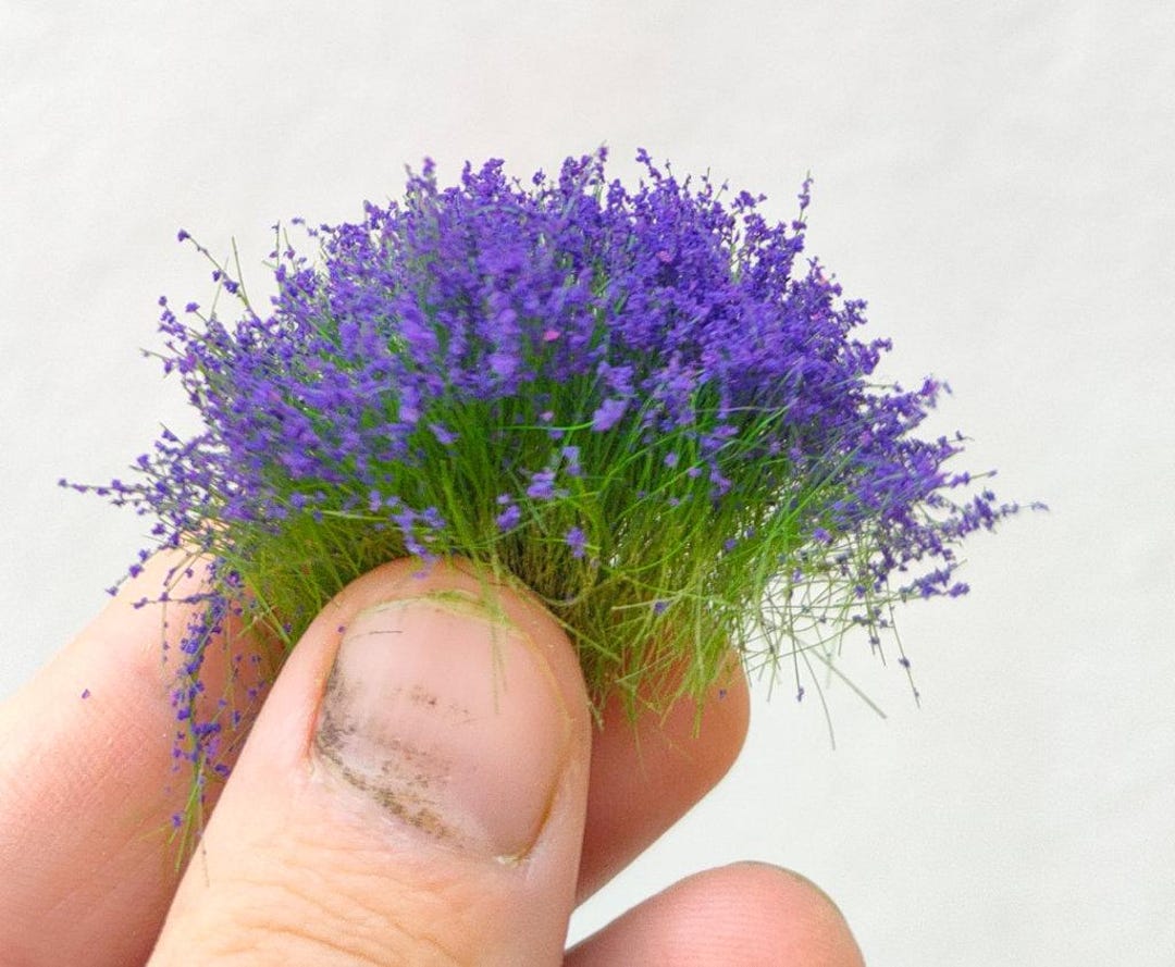 27 Mm Tall- 22 New Green Grass Tufts With Lavender Flowers Dip20982-002 ...