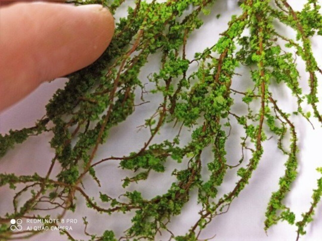 Climber Wild W31 Highly Detailed Wild Climber for Diorama DIY Kit - Etsy