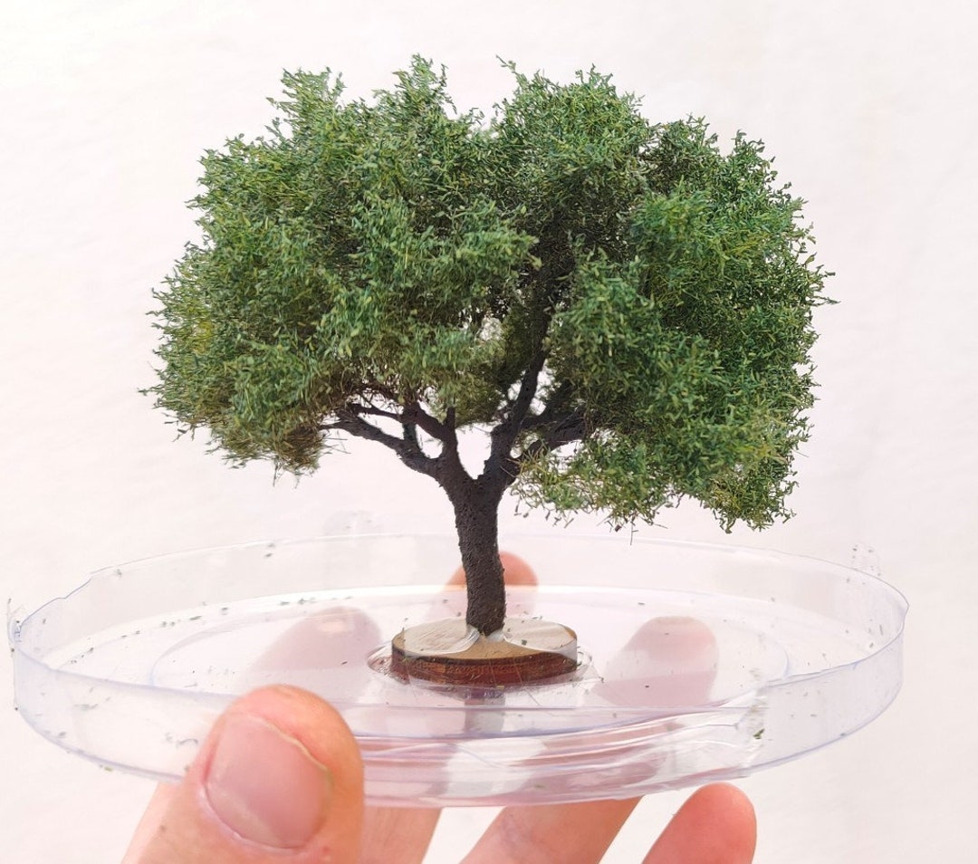 Olive Tree 6-8 Cm Diorama, Scale Models, Model Scene, Miniature ...