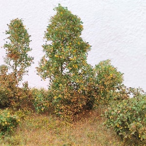 Base With Bushes Pro 6 / 12cm Early Autumn A4 Format Wg10003 - Etsy