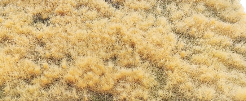 Arid and Dry A4 Size Dried Grass Mat Wg299 Diorama Plastic | Etsy