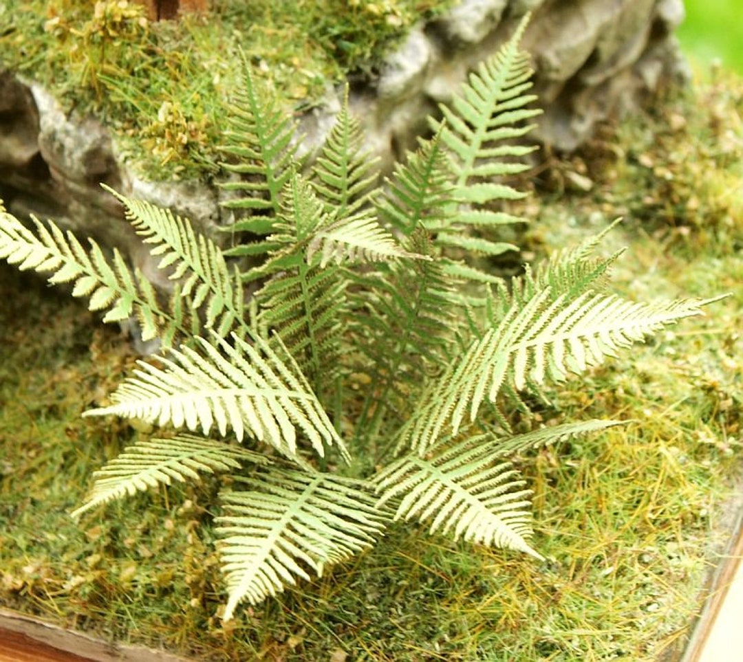 Fern Laser Cut Scale 1 32 / 1:35 Diorama VG3-001 - Etsy