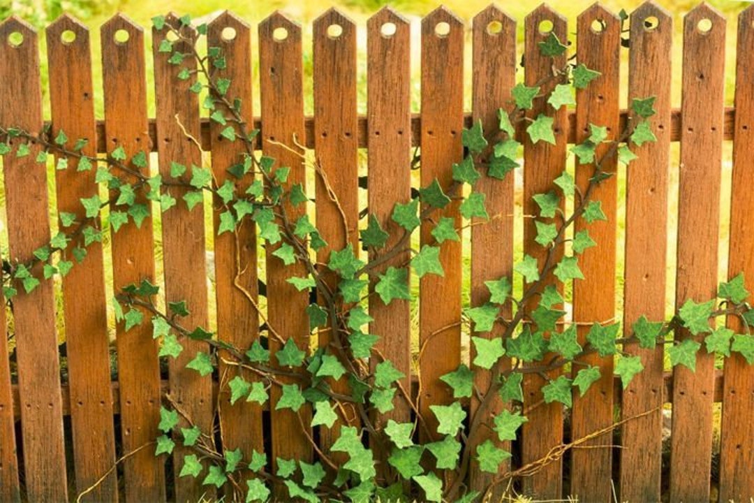 Laser-cut Ivy Scale 1 32 / 1:35 Diorama VG3-029 - Etsy