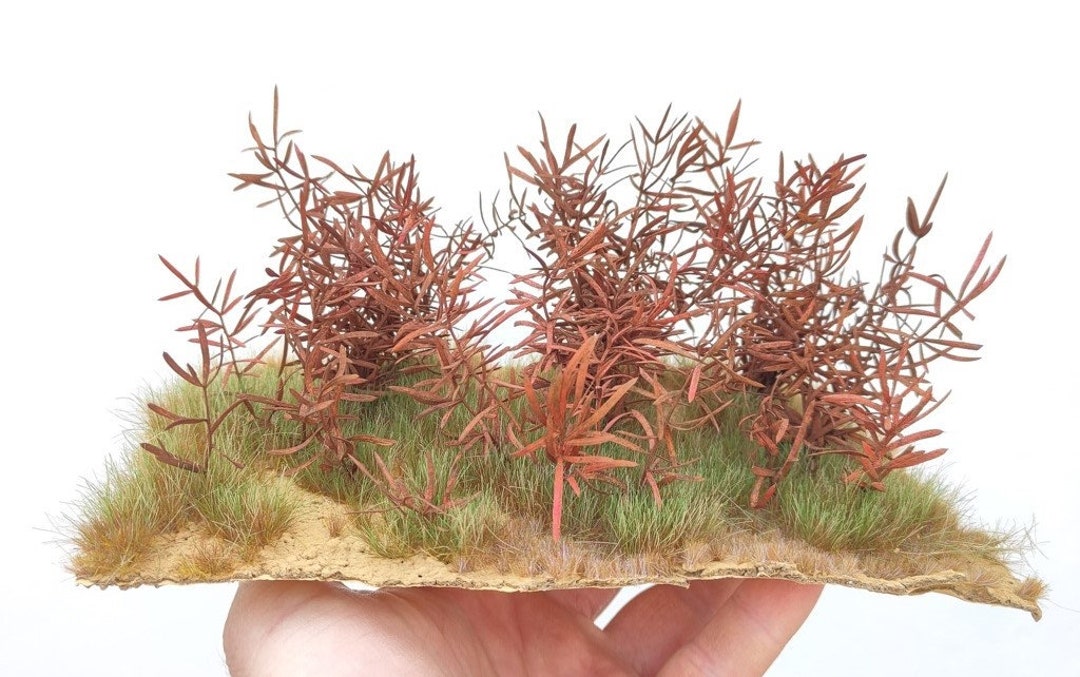 01 Magical Forest - Jungle Plant With Autumn Red Leaves - Etsy