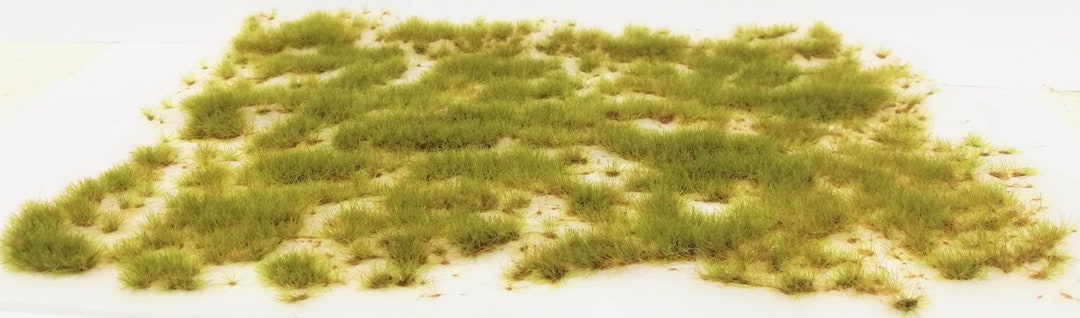 Grass Tufts 2-4 Farmyard Spring Professional Irregular and Truthful ...