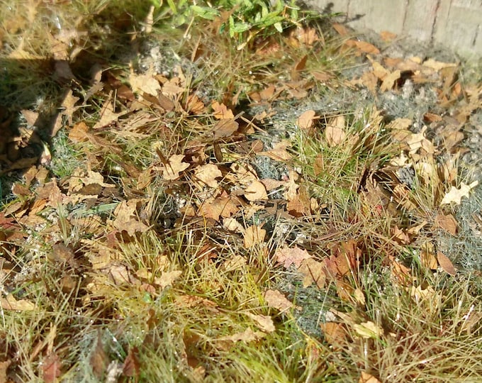 Breathtaking Micro Branches Tiny Branches for Dioramas - Etsy