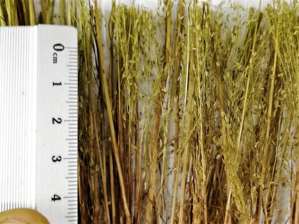 Very Small Miniature Rods Even Smaller Even for Small Stairs (selecting ...