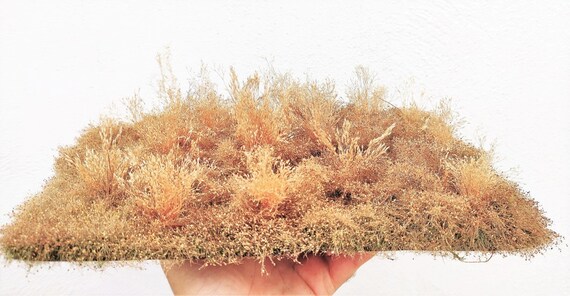 Arid and Dry DIORAMA Mat of Dried Grass A4 Size Wg200 - Etsy