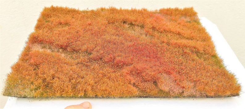 Arid and Dry – Reddish Dried Grass Mat A4 Size Wg295 Diorama - Etsy