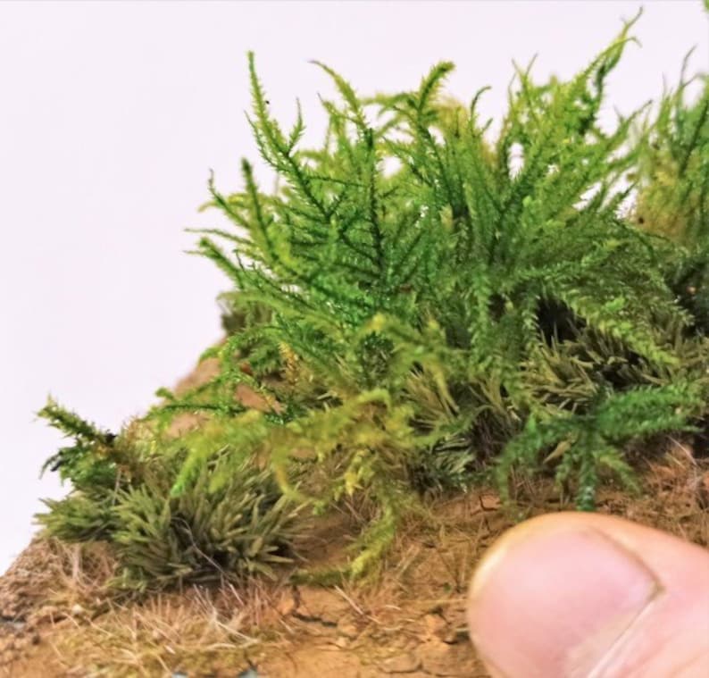 Scenic Elements for Architectural Model Diorama Model Making | Etsy