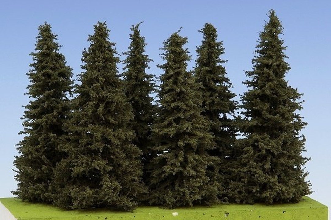 Spruce 6 Trees 100 Mm Height for Diorama or Plastic Cribs SM100 - Etsy