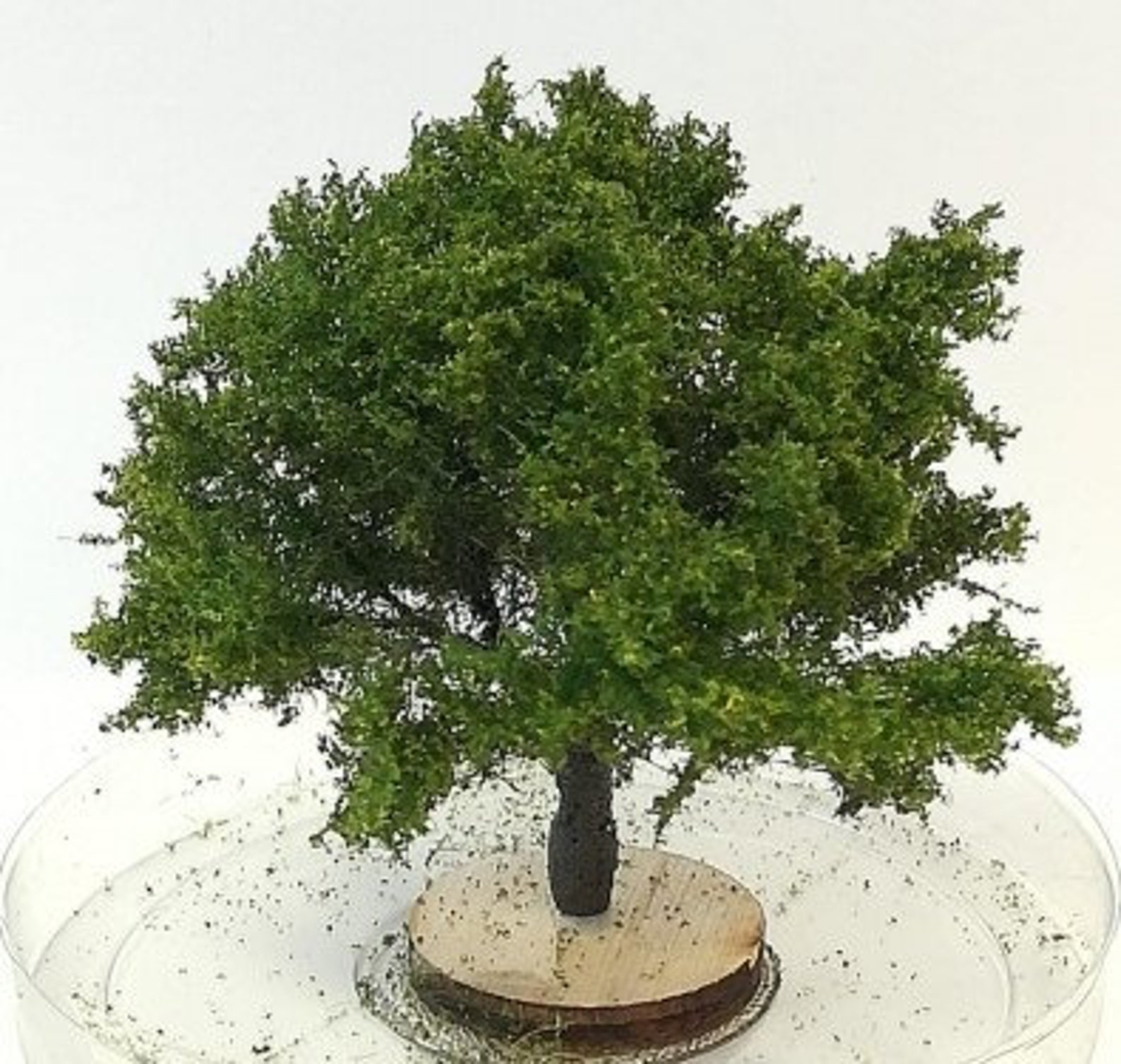 Generic Shrub or Tree Scale H0 8 Cm Approximately KRZ - Etsy