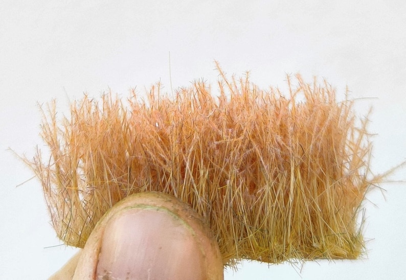 27 Mm High - 22 New Tufts of Dry Grass Graminacea Alba Rosa Dip46072 - Etsy