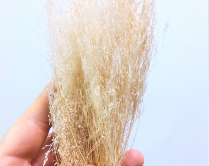 Breathtaking Micro Branches Tiny Branches for Dioramas - Etsy