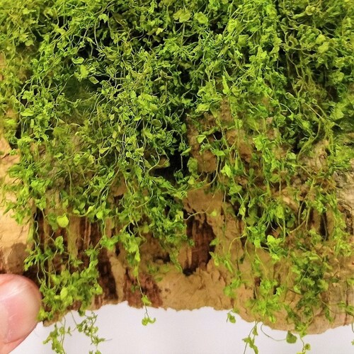 Breathtaking Micro Branches Tiny Branches for Dioramas - Etsy