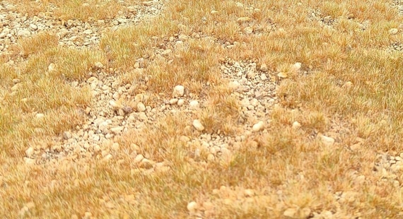 Crushed Base Ground With Crushed Stone and Autumn Grass A4 - Etsy