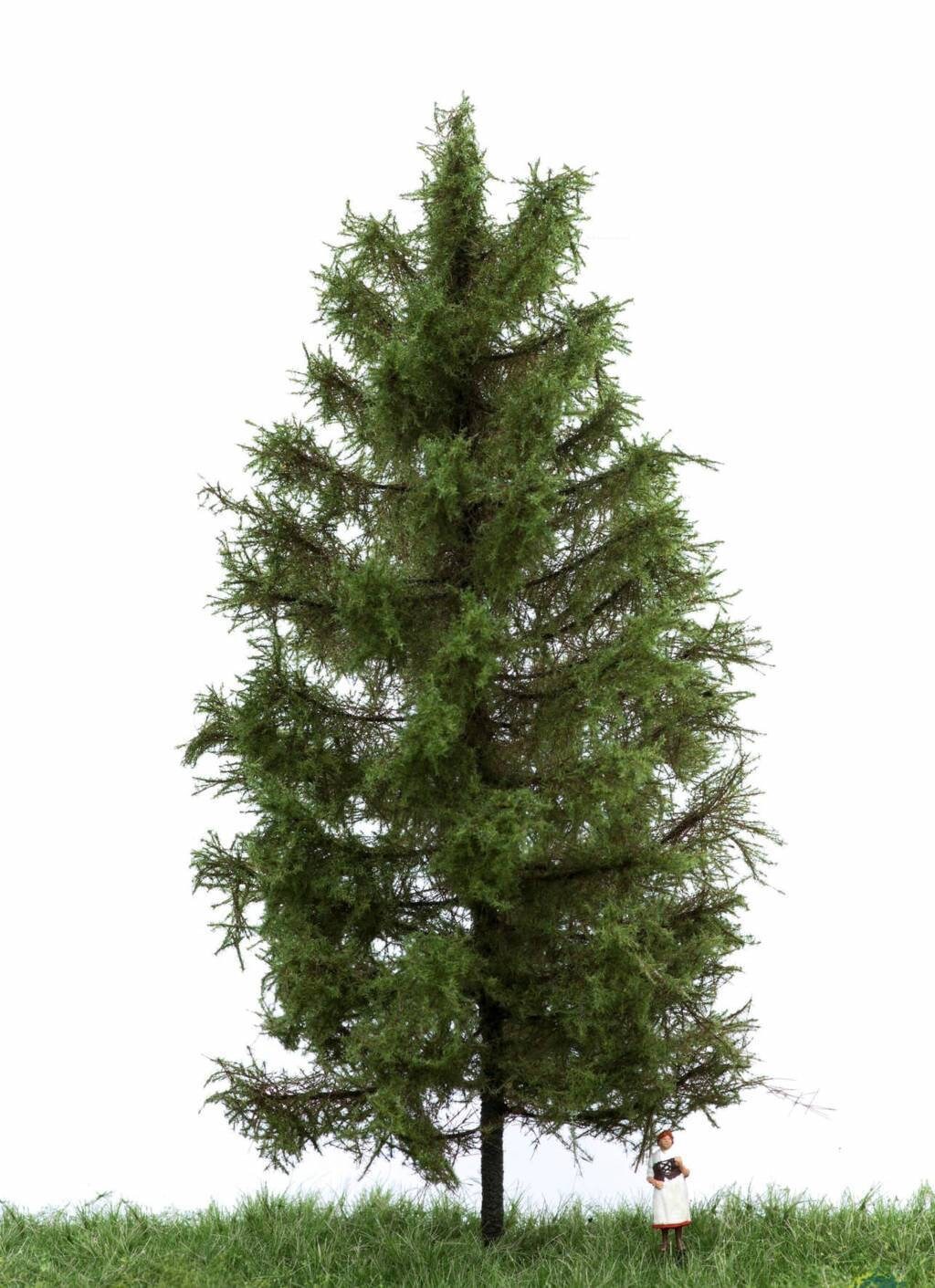 European Full Larch 18-22 Cm 51-4303 - Etsy