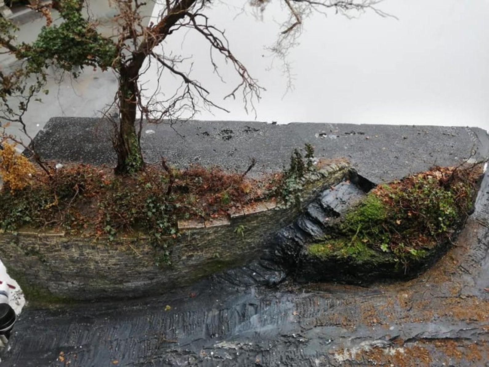 Perfect Roots for Dioramas - Etsy