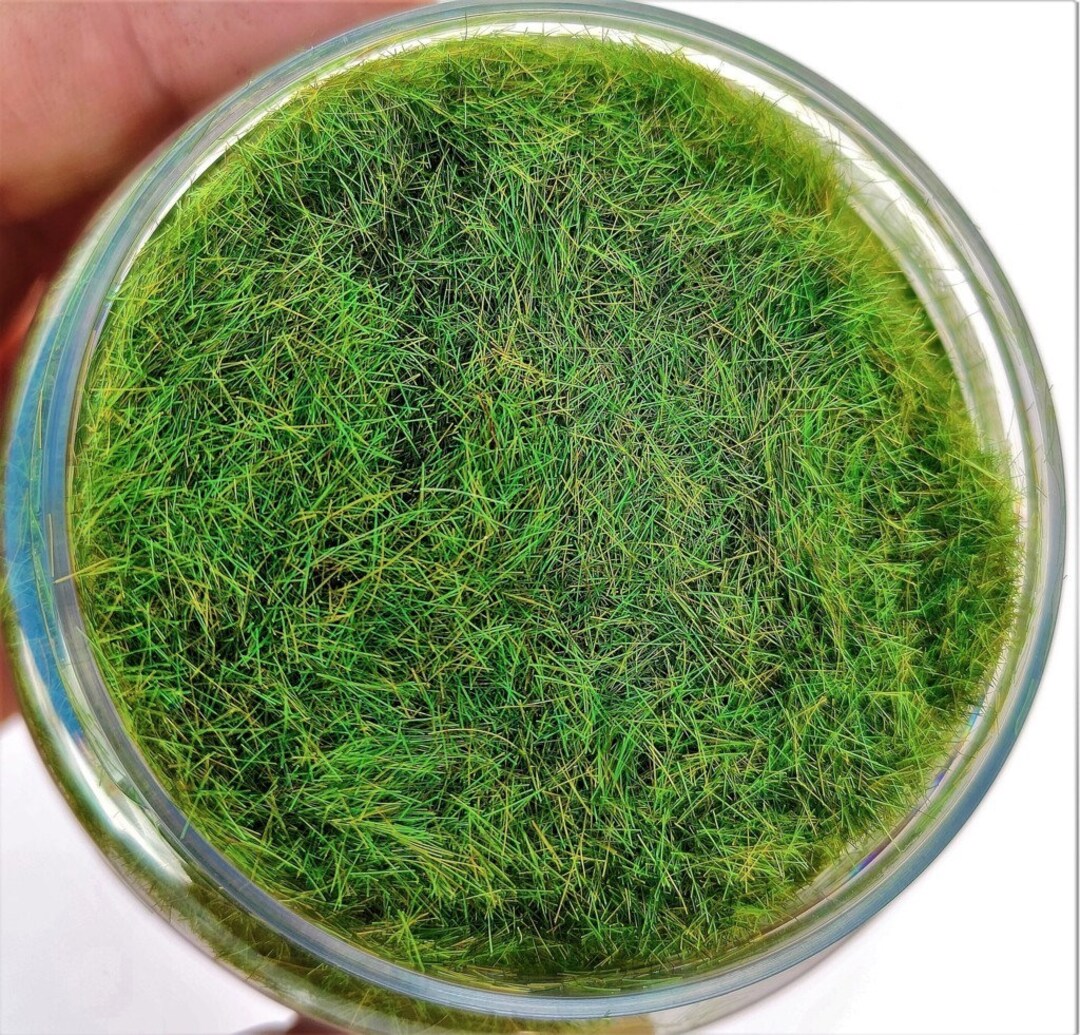 4mm Flock Static Grass – Swamp Green (250ml) Dioramanativity Scene - Etsy