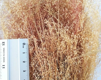 Breathtaking Micro Branches Tiny Branches for Dioramas - Etsy