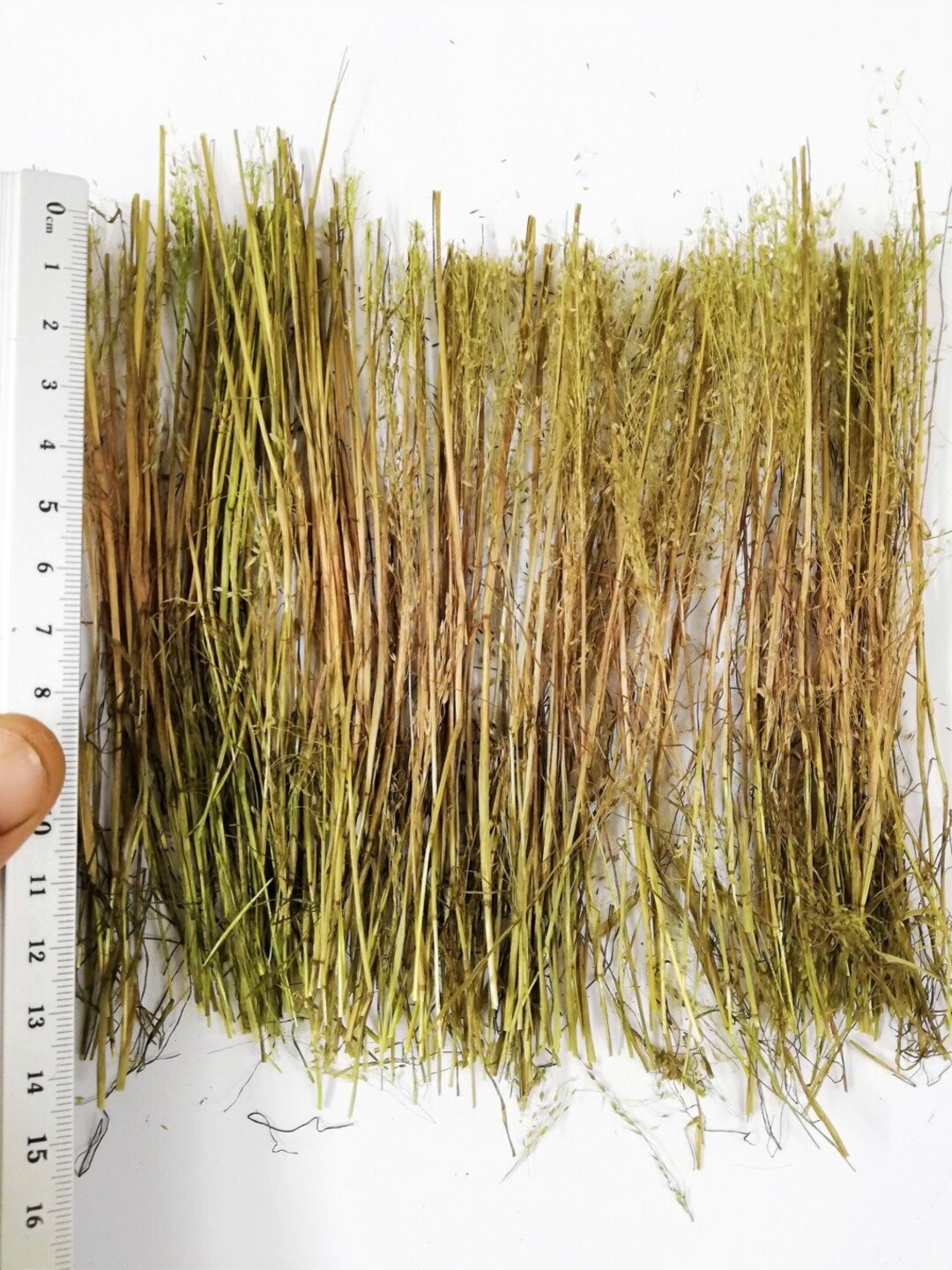 Very Small Miniature Rods Even Smaller Even for Small Stairs (selecting ...