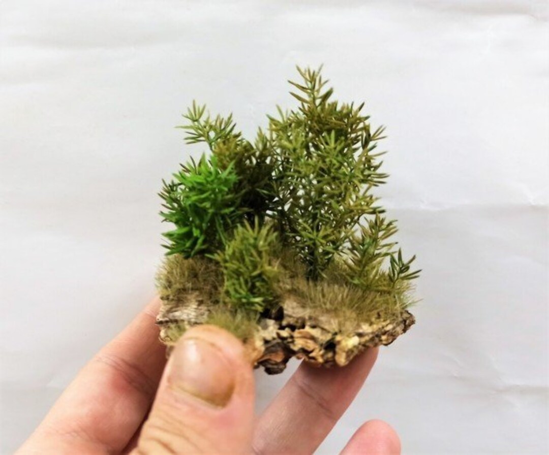 Angela Bush Bush With Stabilized and Colored Leaves for Diorama Diorama ...