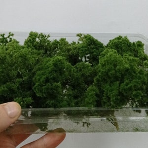 Evergreen Professional Mini Bushes With Even Smaller Leaves New Formula ...