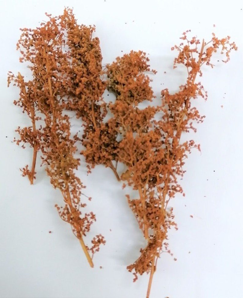 Bush Busted Farmer Mini Bush Red Autumnal Scenic Elements for - Etsy