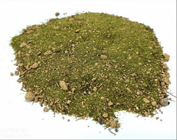 Special Earth With Moss Effect or Green Grass for Diorama - Etsy