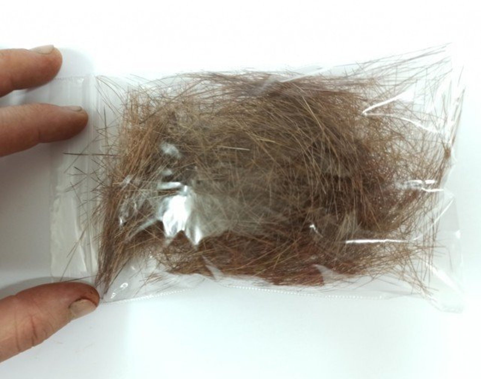 Scenic Elements for Architectural Model Diorama Model Making - Etsy