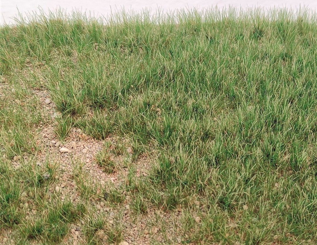 Crushed Base - Crushed Stone Ground and 12-14 Mm High Grass A4 Wg154eas ...