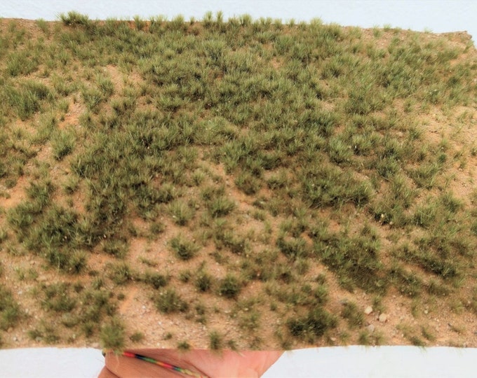 Desert and Arid Base Type 2 – Approximately 21cm X 30cm Surface Wg801 ...