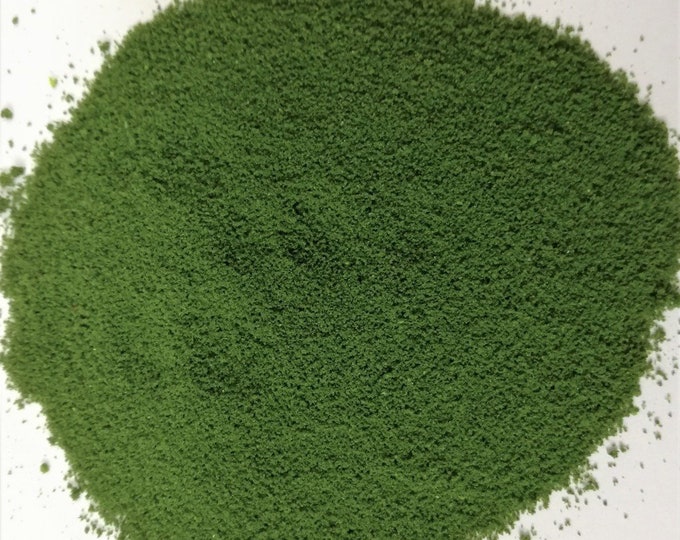 Breathtaking Micro Branches Tiny Branches for Dioramas - Etsy