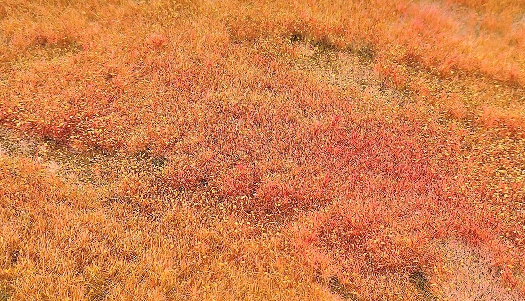 Arid and Dry – Reddish Dried Grass Mat A4 Size Wg295 Diorama - Etsy