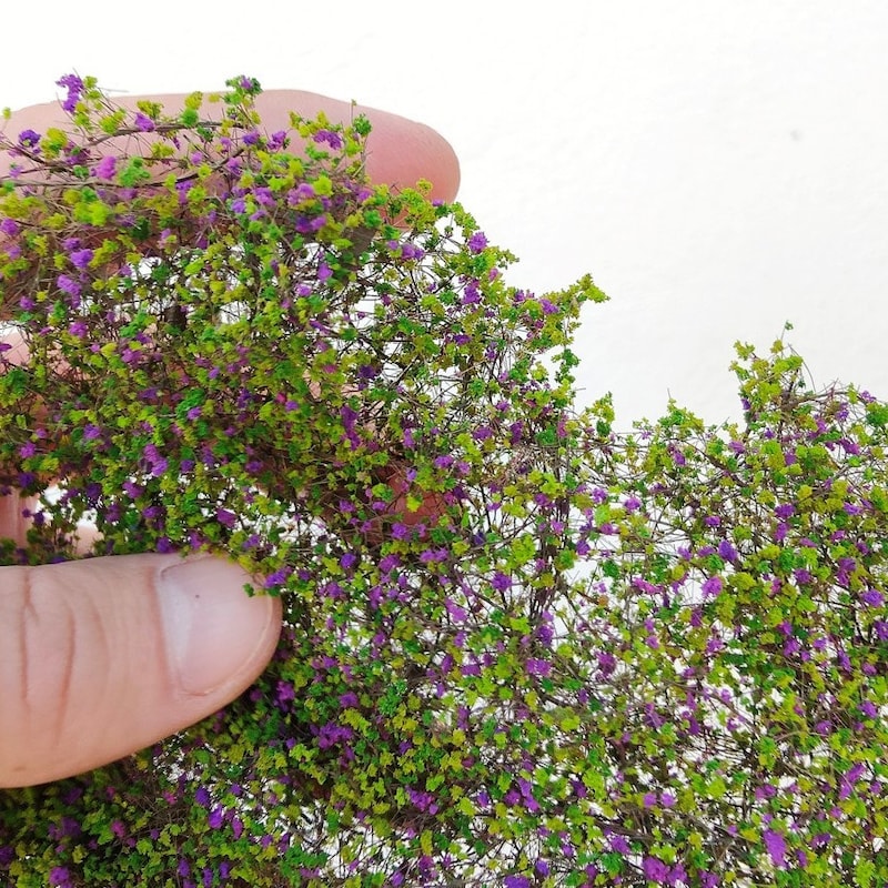 Miniature Scale Leaves - Etsy Canada