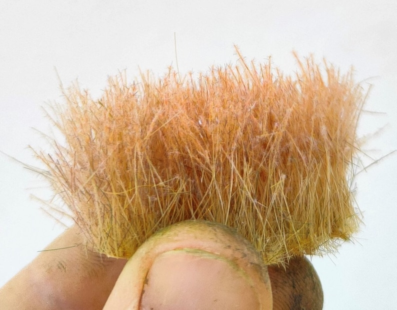27 Mm High - 22 New Tufts of Dry Grass Graminacea Alba Rosa Dip46072 - Etsy
