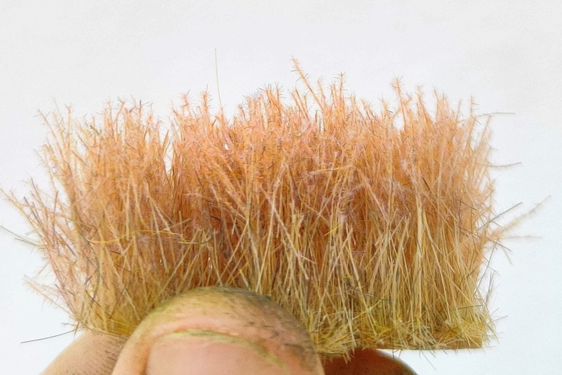 27 Mm High - 22 New Tufts of Dry Grass Graminacea Alba Rosa Dip46072 - Etsy
