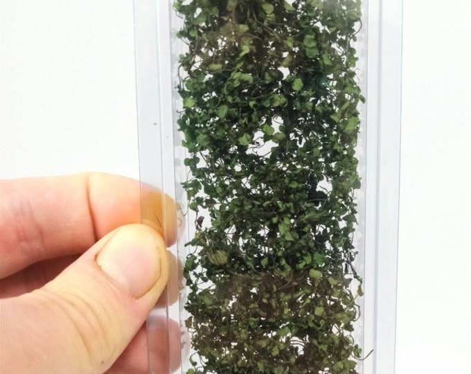 01 Miniature Ivy or Bush NATURAL Colored Medium Light Green Diorama ...
