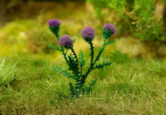 Laser Cut Thistle Scale 1 32 / 1:35 Diorama VG3-021 - Etsy
